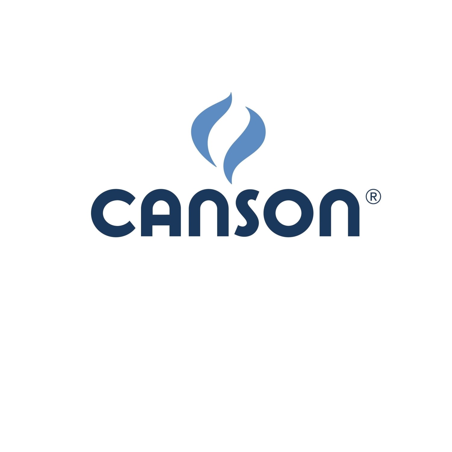 Canson Water Color Paper (20x30inch) | Golden Tiger Stationery Store