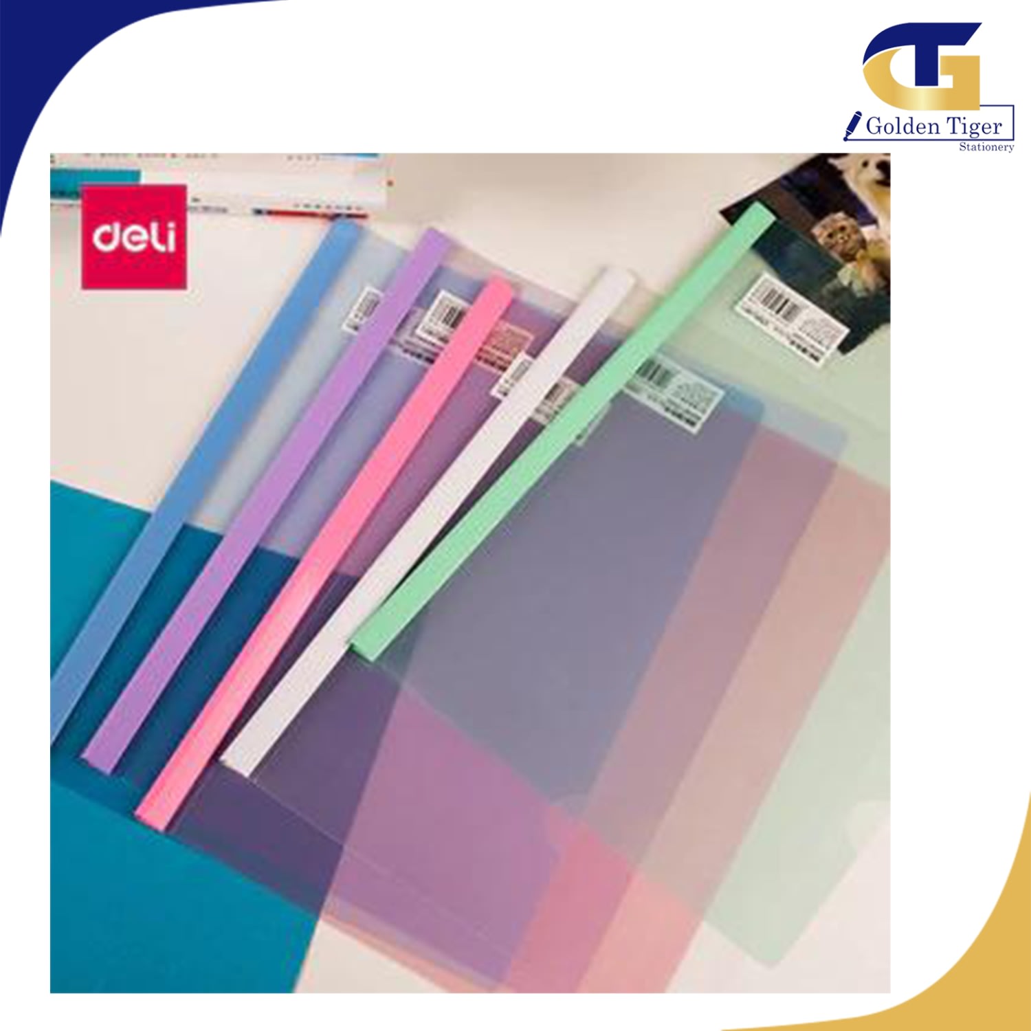 Deli Stick File Legal (တုတ်အပါး) 30202 | Golden Tiger Stationery Store