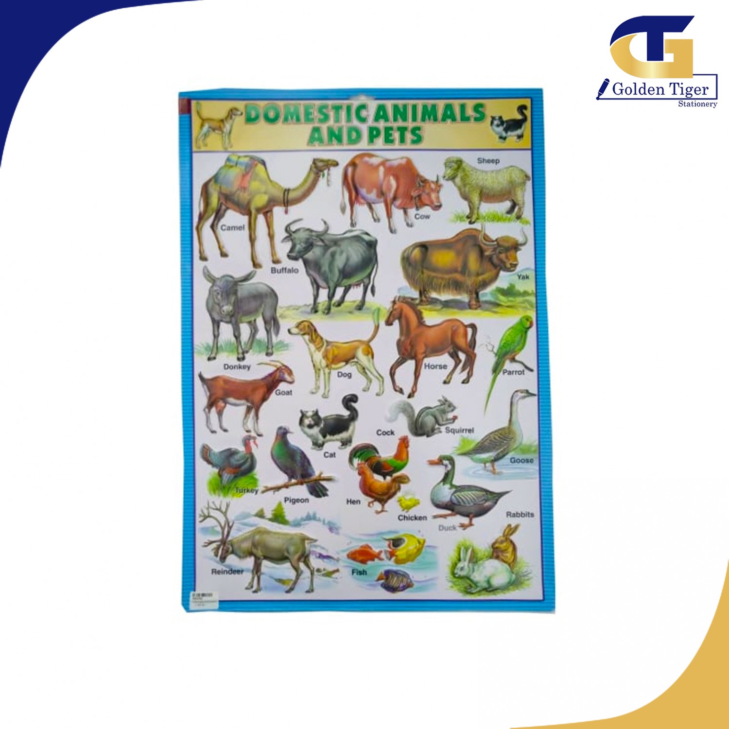 Chart Card (Plastic Embossed) | Golden Tiger Stationery Store