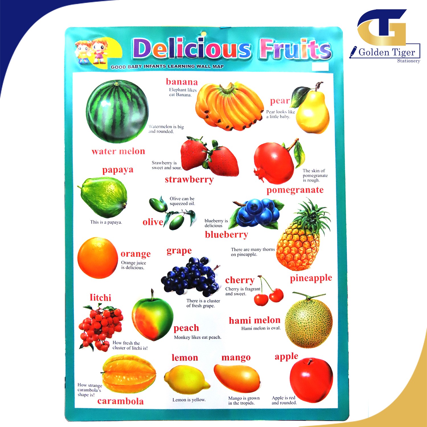 Chart Card (Plastic Embossed) Wall P 3D | Golden Tiger Stationery Store