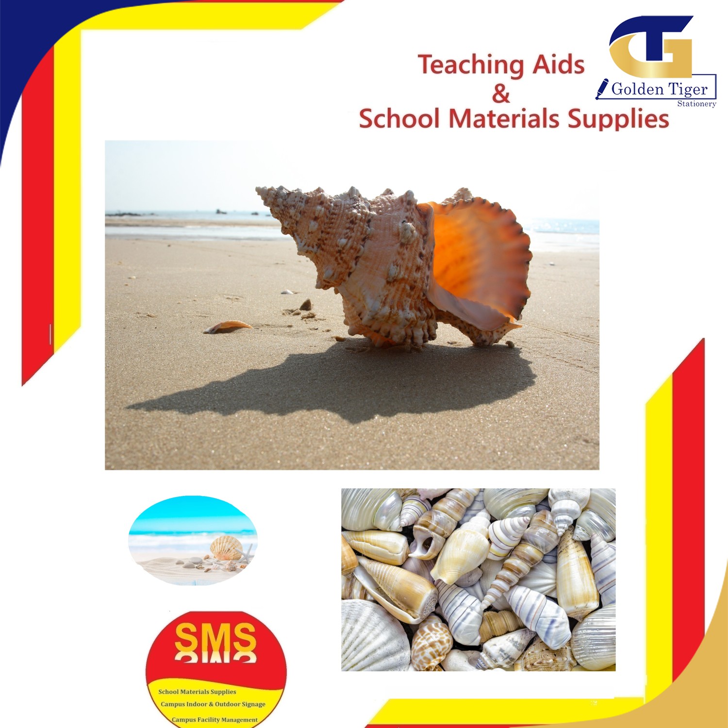 seashell sea shell | Golden Tiger Stationery Store